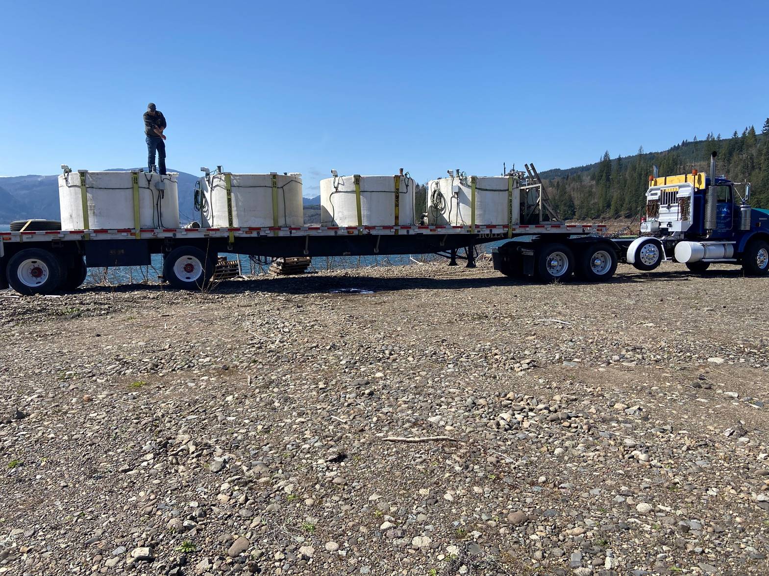400,000 Triploid Rainbow going into Riffe Lake – Northwest Fisheries ...